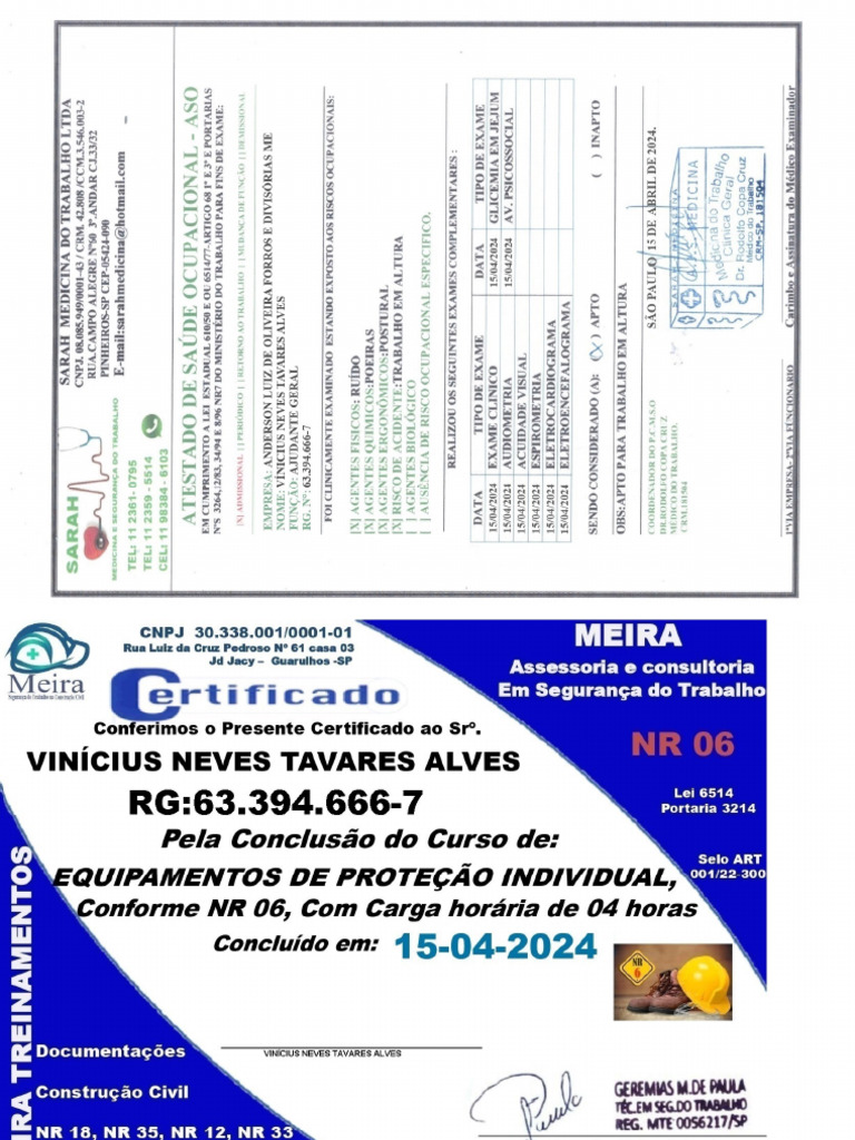 Vinícius Neves Tavares Alves | PDF