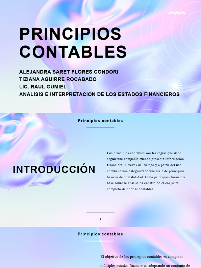 Guía de Principios Contables | PDF | Contabilidad | Estado financiero