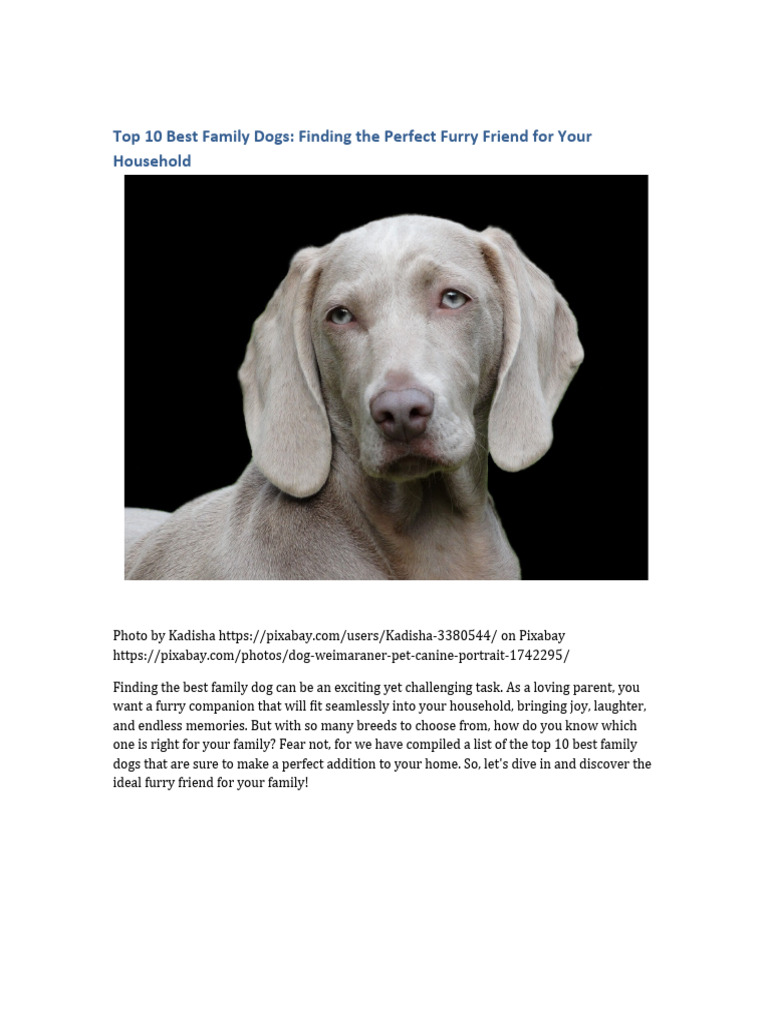 Top 10 Best Family Dogs | PDF | Dogs | Golden Retriever