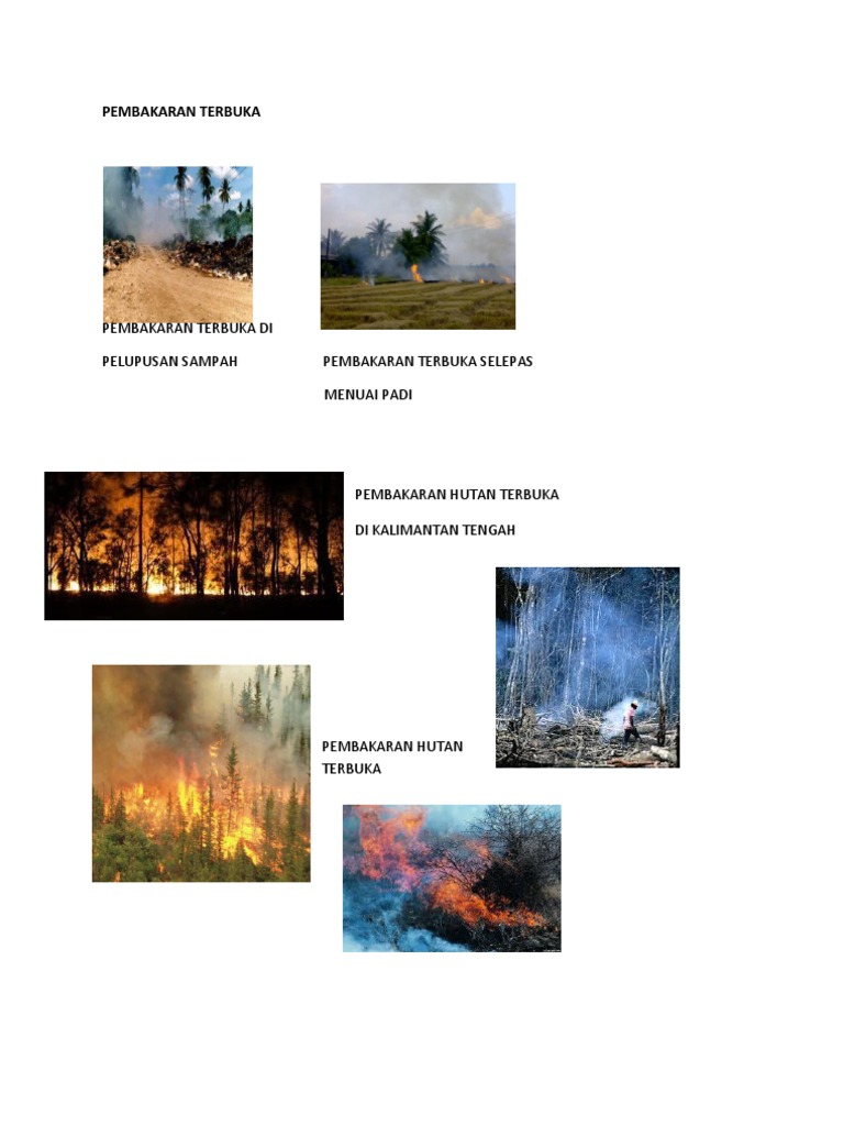 Pembakaran Terbuka | PDF