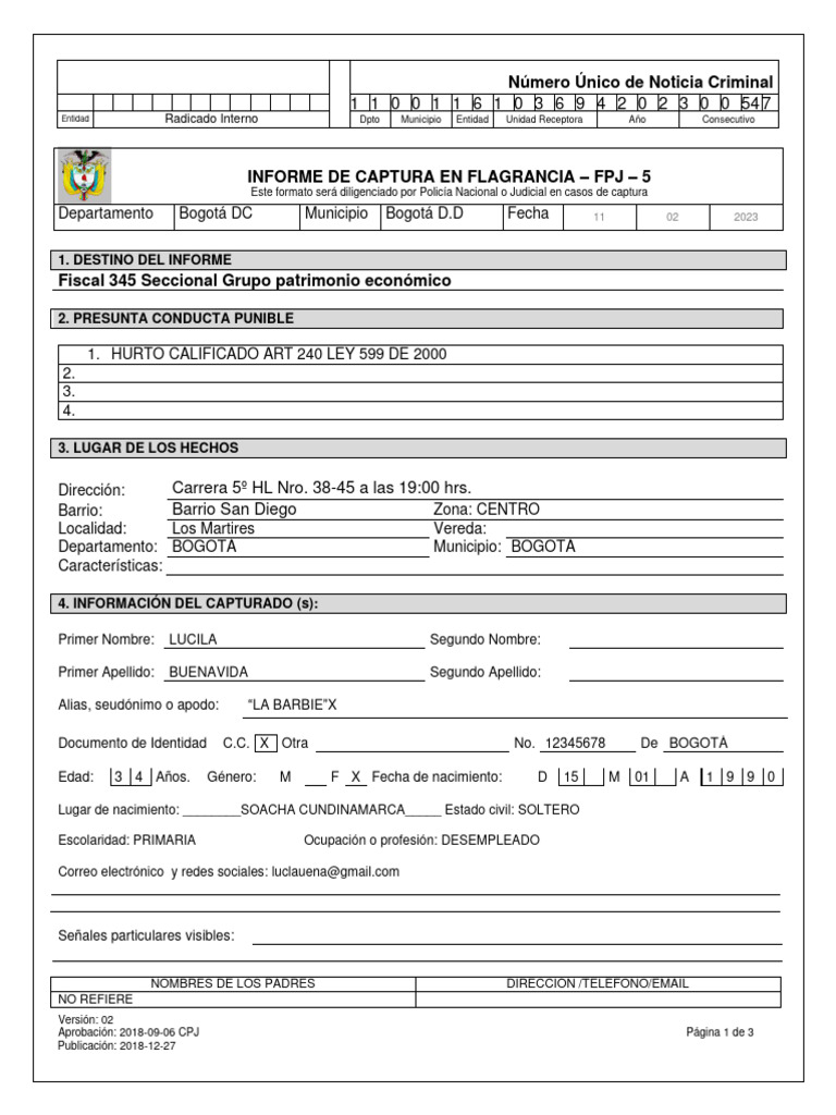 FPJ 5 Captura en Flagrancia V 02 | PDF | Documento de identidad