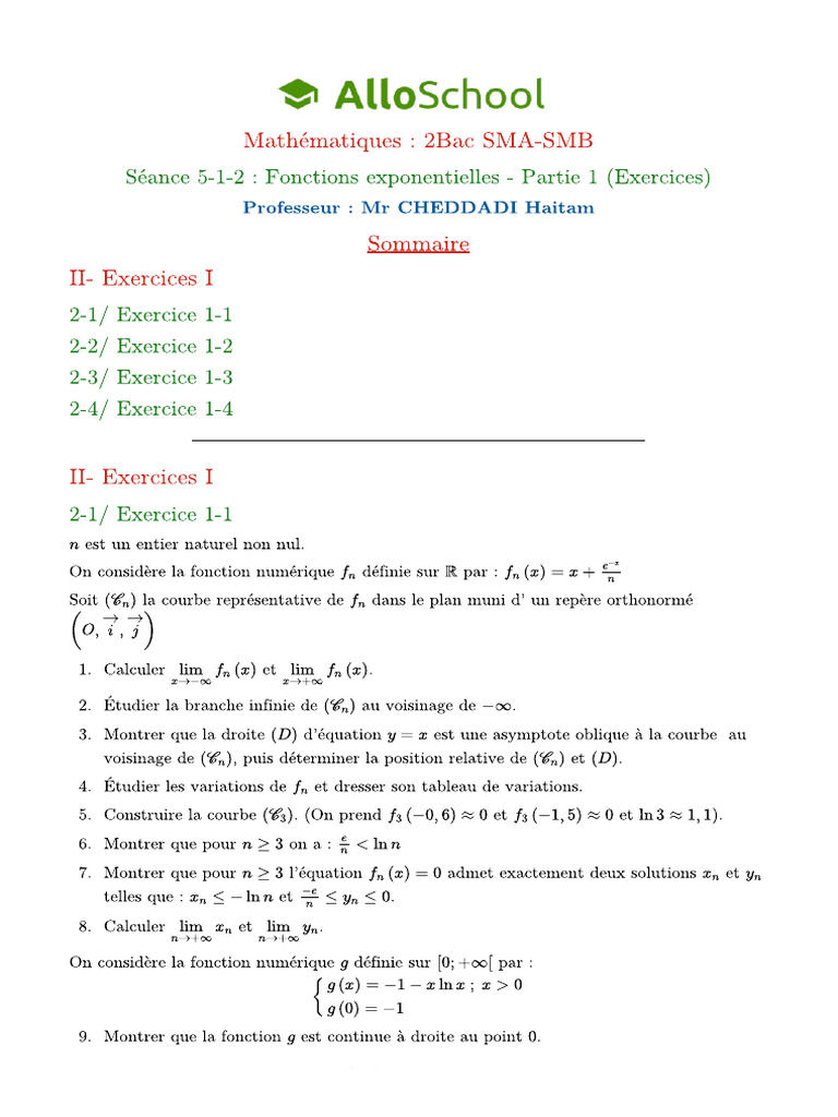 Seance 5 1 2 Fonctions Exponentielles Partie 1 Exercices 2 | PDF
