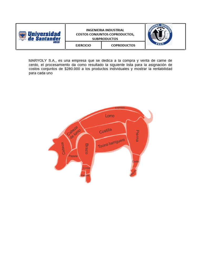 Taller Costo Conjunto Ejercico Cerdo | PDF | Economias