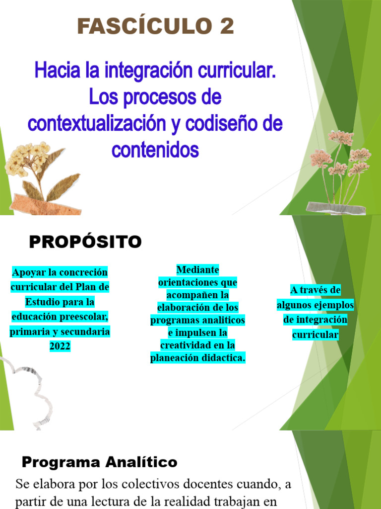 Fasciculo 2 | Descargar gratis PDF | Plan de estudios | Enseñando