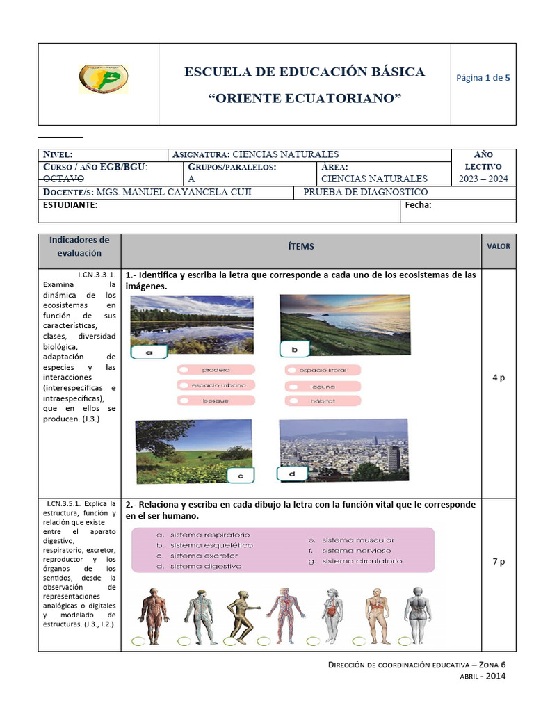 Prueba Diagnostica CCNN 8vo. | PDF