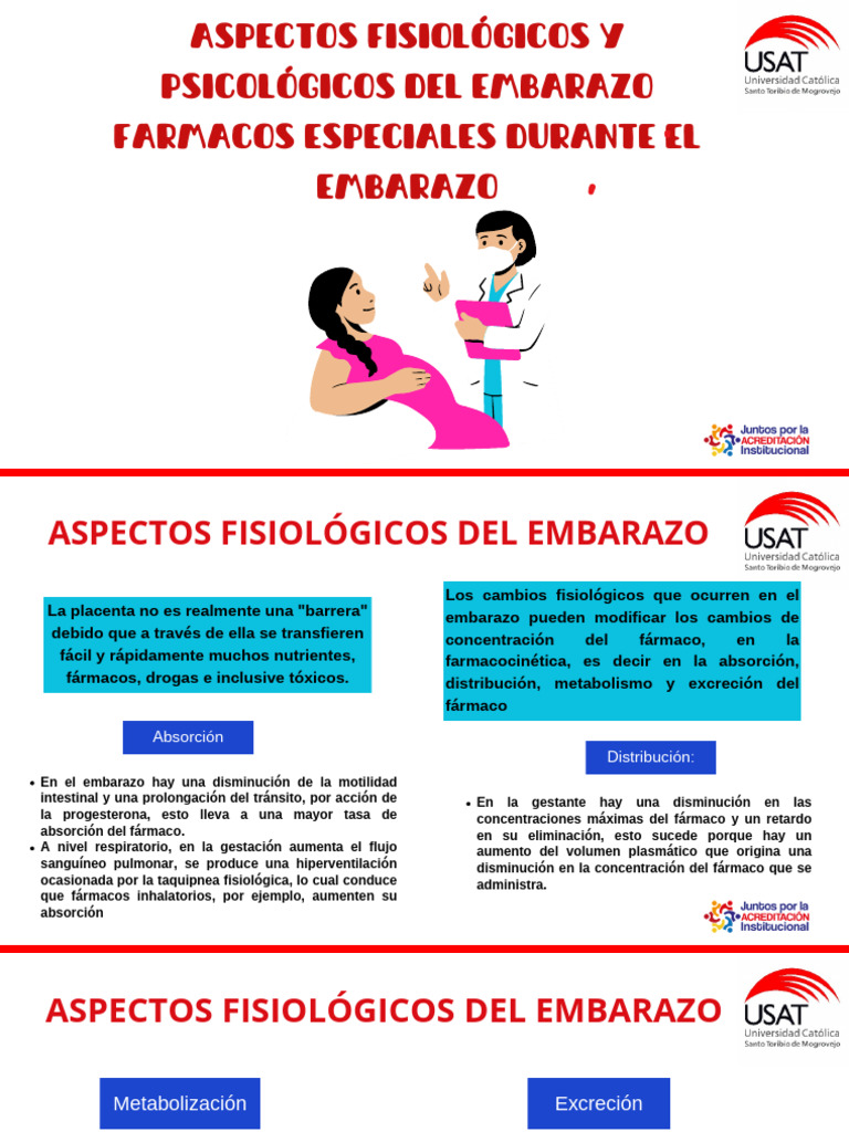 EMBARAZO | PDF | El embarazo | Medicamentos con receta