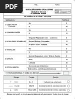 Hoja Signos Vitales | PDF