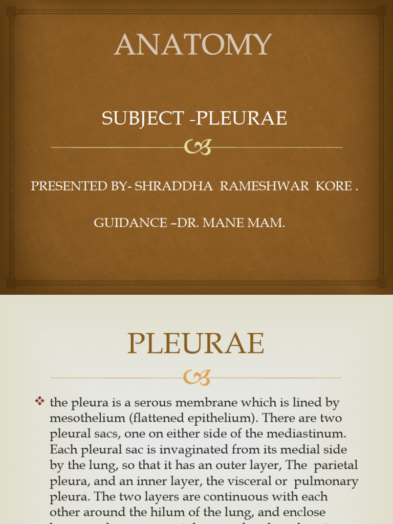 PLEURAE | PDF | Lung | Thorax (Human Anatomy)