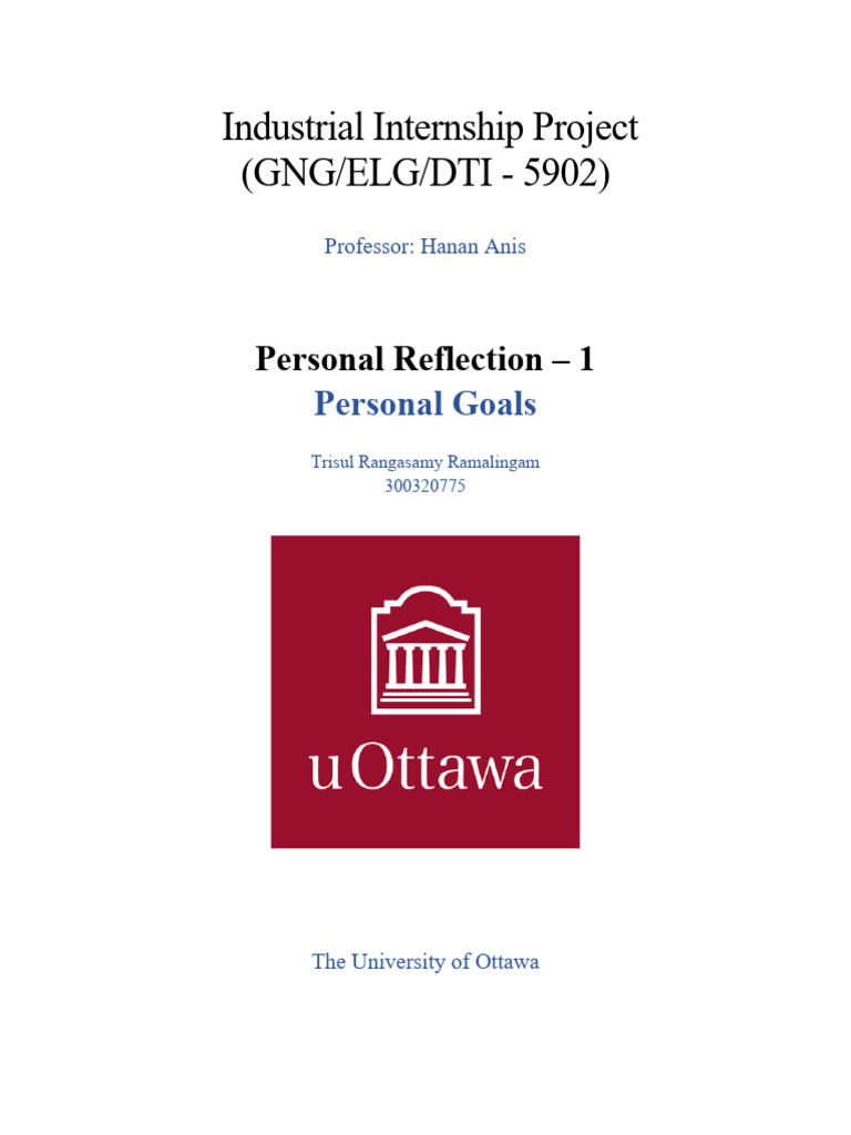 Trisul Personal Reflection - 1 | PDF | User Interface | Computing