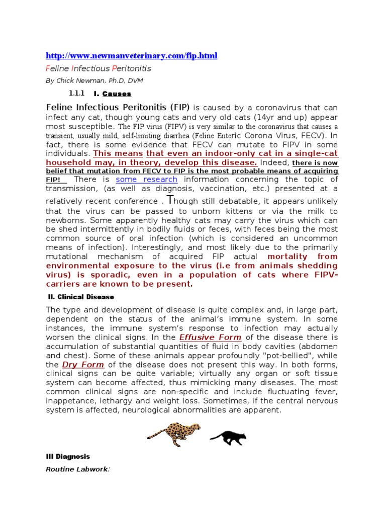 Feline Infectious Peritonitis | PDF | Infection | Virus