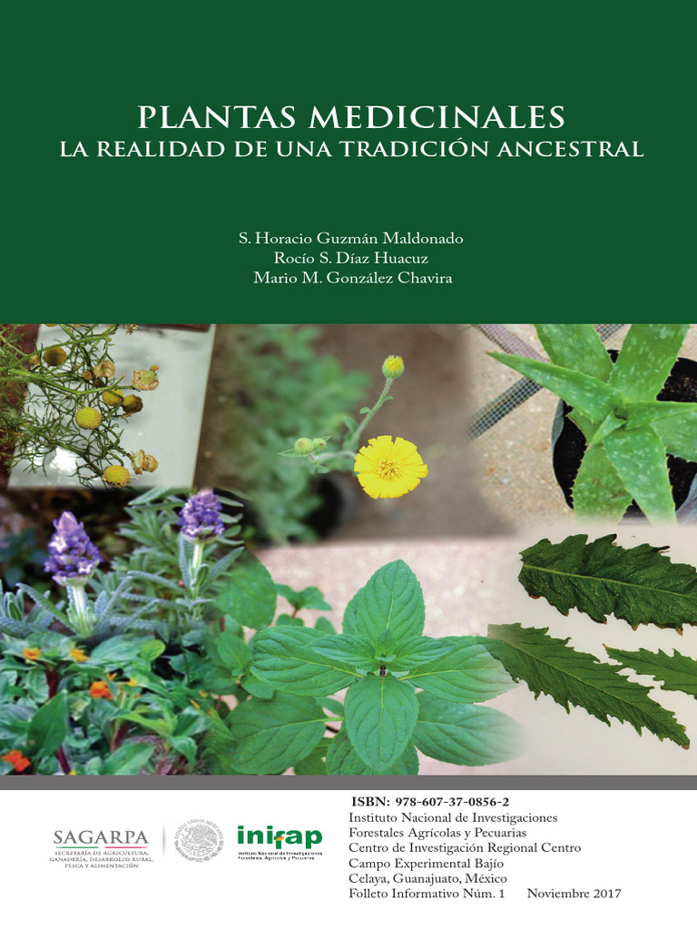 1044 4729 Plantas Medicinales La Realidad De Una Tradición Ancestral Pdf