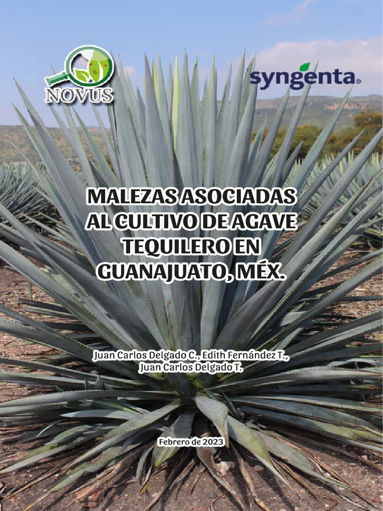 Manual Agave Bjo | PDF | Plantas | Botánica
