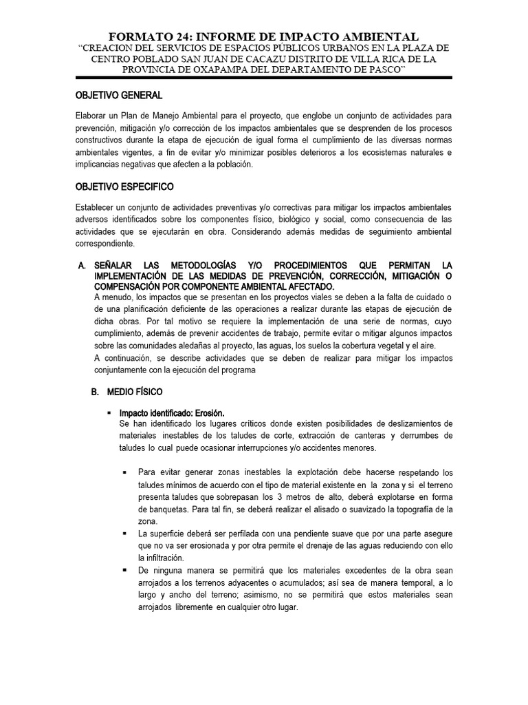 Formato #24 Informe de Impacto Ambiental | PDF | Entorno natural | Evaluación de impacto ambiental