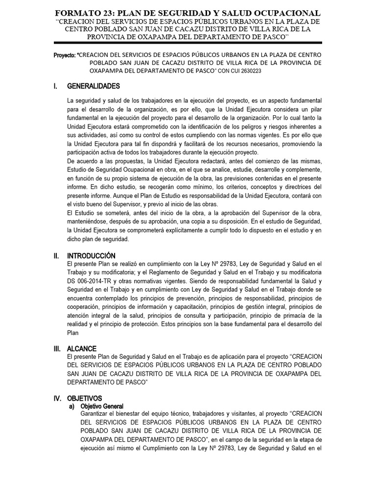 Formato #23 Plan de Salud y Seguridad Ocupacional | PDF | Seguridad y salud ocupacional ...