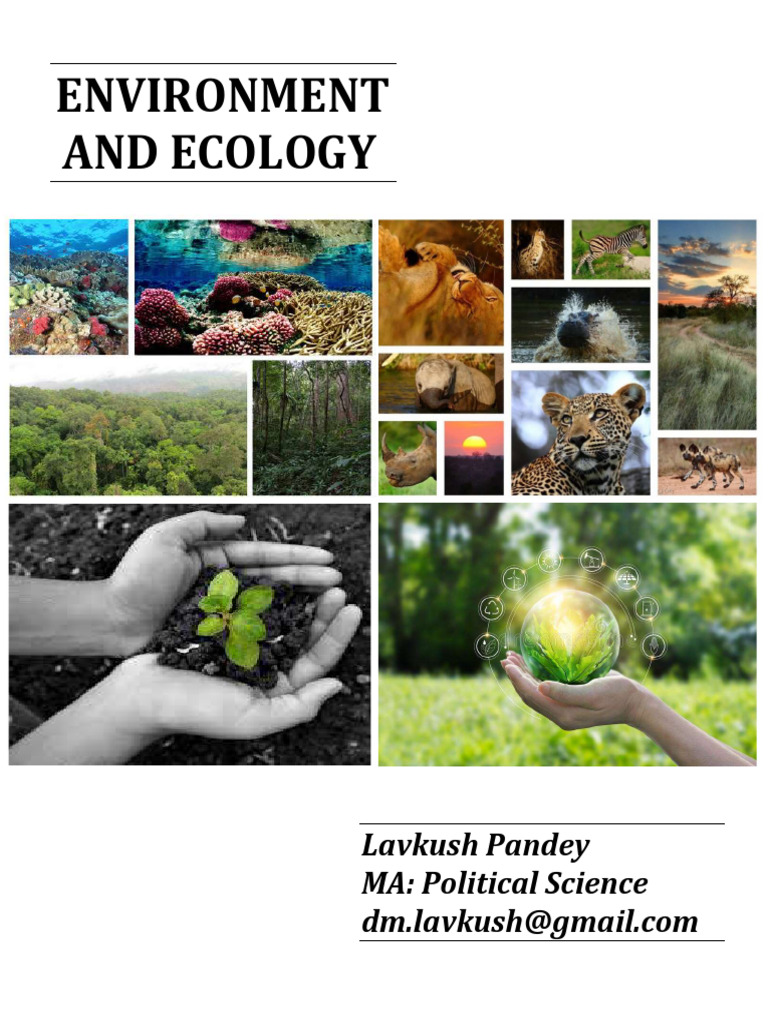 Environment & Ecology | PDF | Food Web | Eutrophication