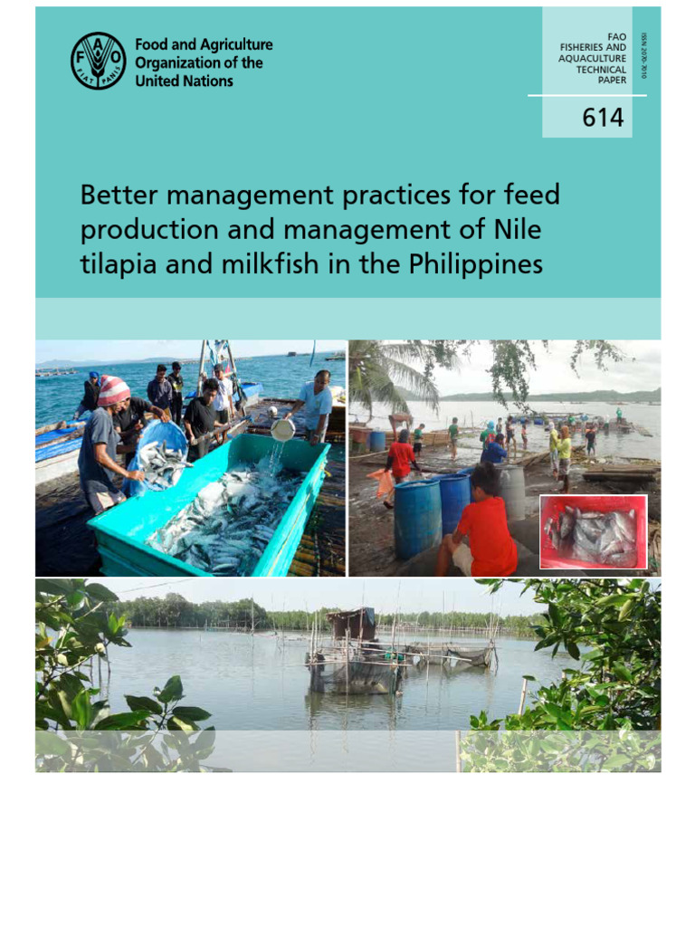 Better Management Practices For Feed FISH FEED | PDF | Aquaculture ...