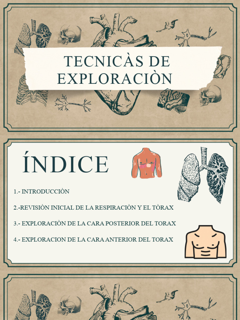 Tecnicàs de Exploracion | PDF | Pulmón | Medicina CLINICA