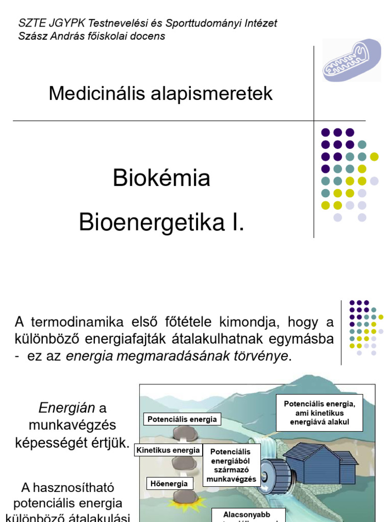 Bioenergetika 1 | PDF