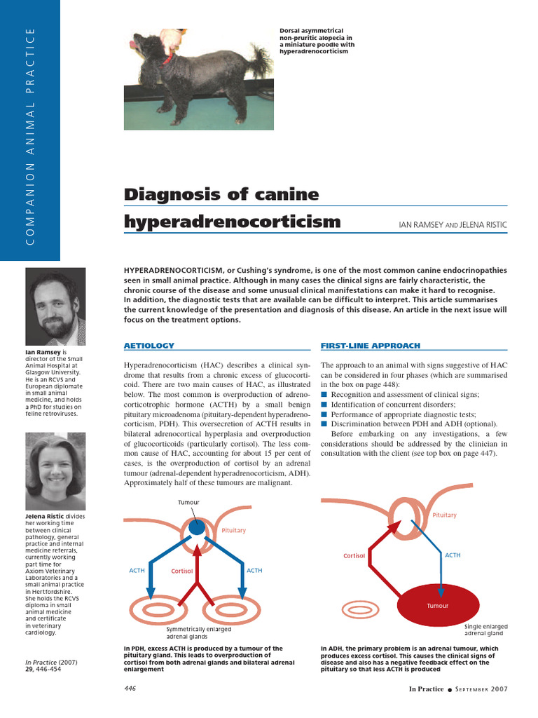 In Practice - 2007 - Ramsey - Diagnosis of Canine Hyperadrenocorticism ...