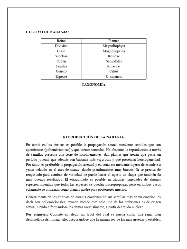 Anteproyecto Trasnformación de Productos | PDF | Injerto | Fruta