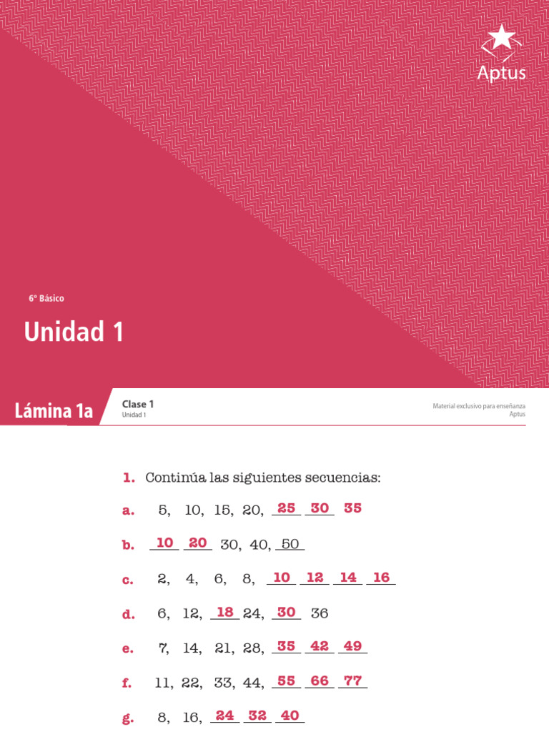 Unidad 1: 6º Básico | PDF