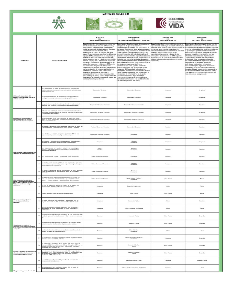 Matriz de Roles y Capacidades BIM | PDF | Software | Calidad (comercial)
