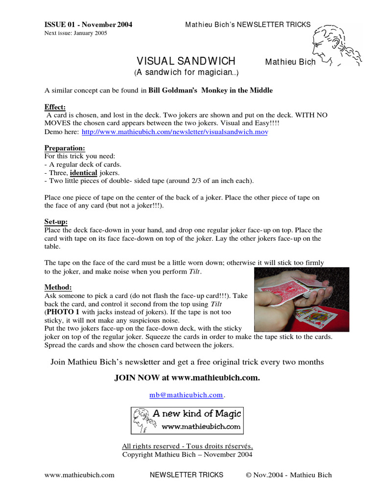 Mathieu Bich - Visual Sandwich | PDF