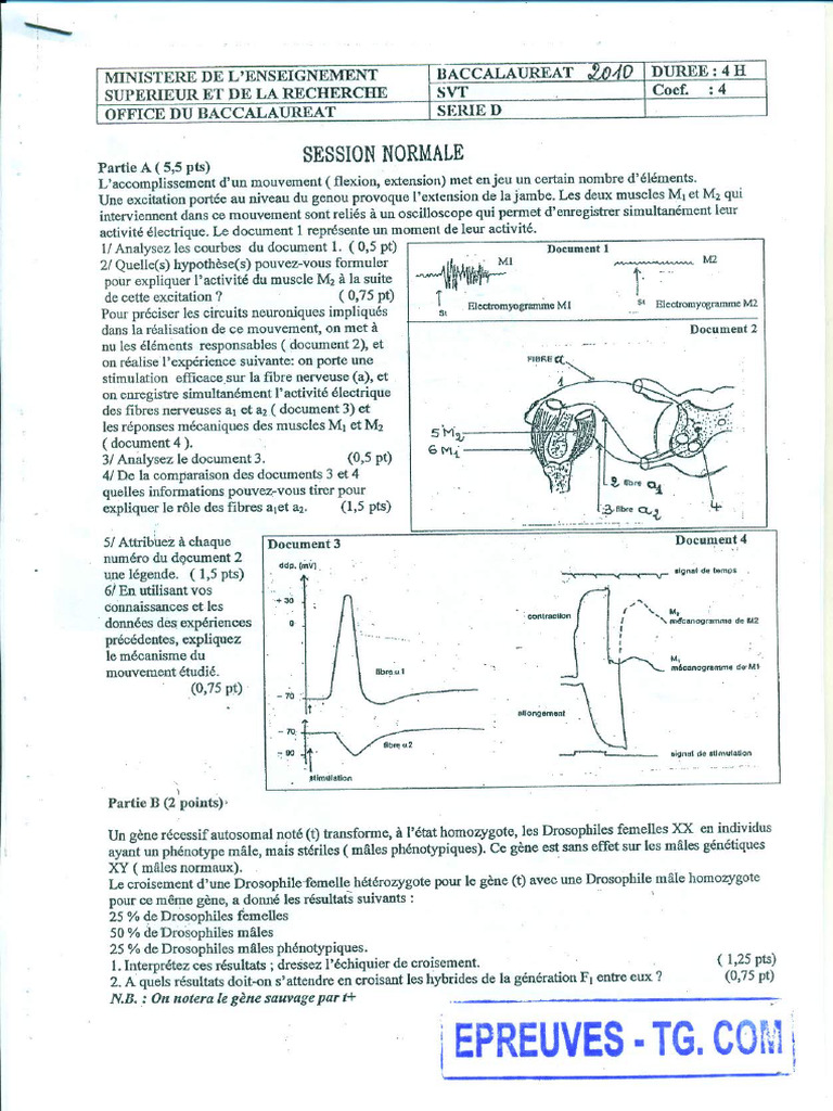 Bac D SVT 2010 | PDF
