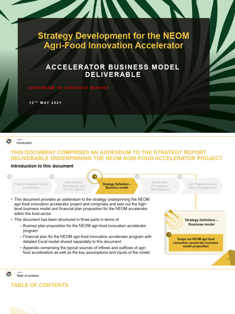 Accelerator Business Model Deliverable - vFIN | PDF | Startup Company ...
