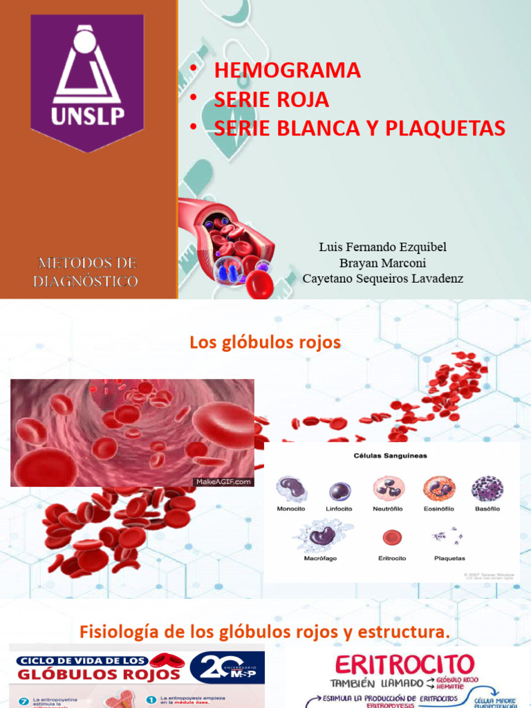 Serie Roja, Blanca y Plaquetas | PDF | Leucocito | Sangre
