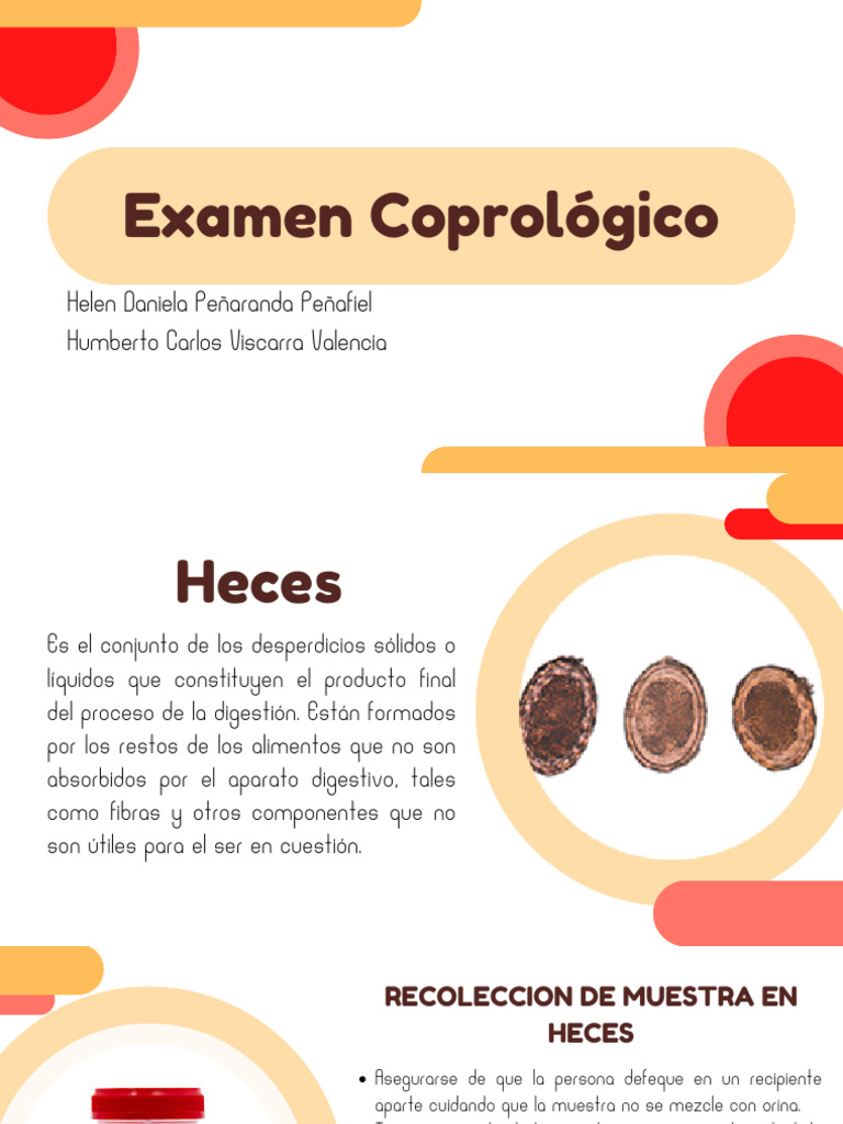Análisis de Heces: Tipos y Significado | PDF | Heces | Diarrea