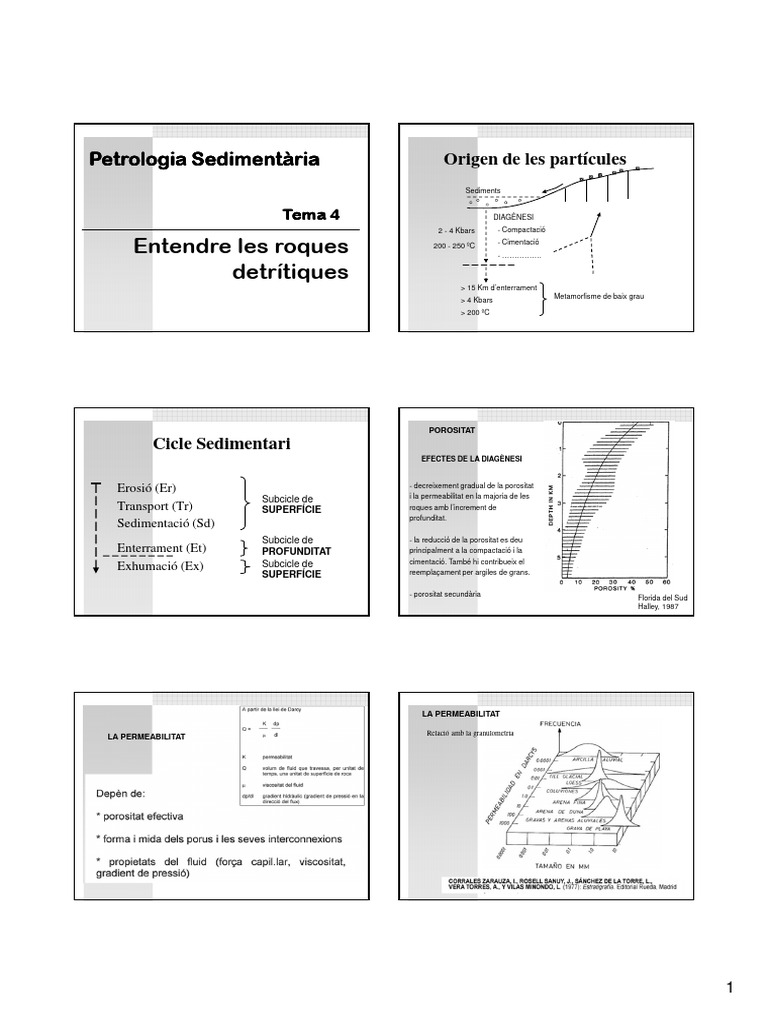 Tema 4. Entendre Les Roques Detrítiques | PDF