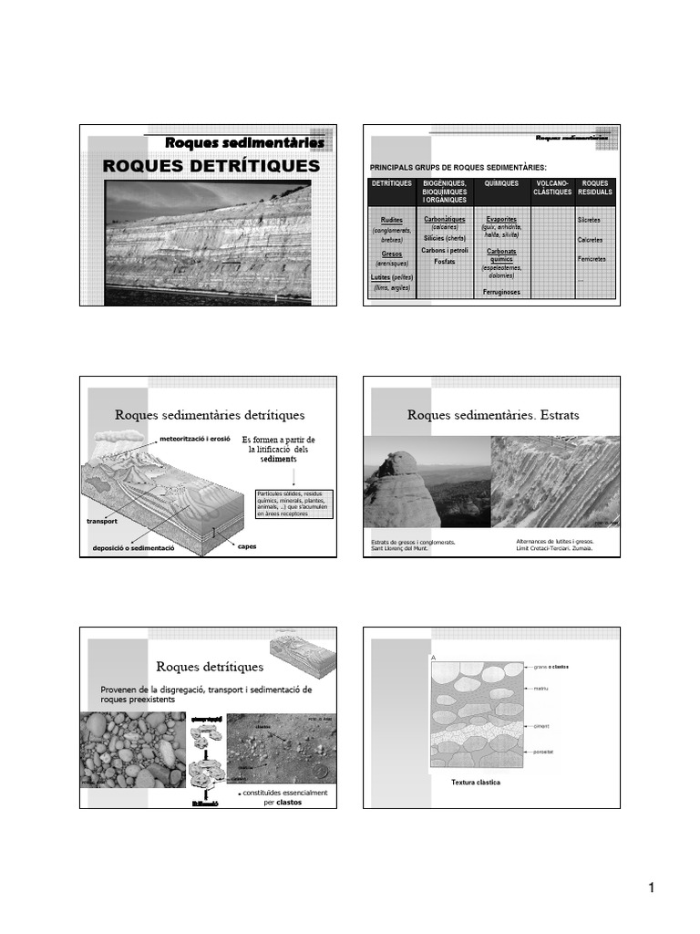 Tema 3._Roques_detritiques_Anna | PDF