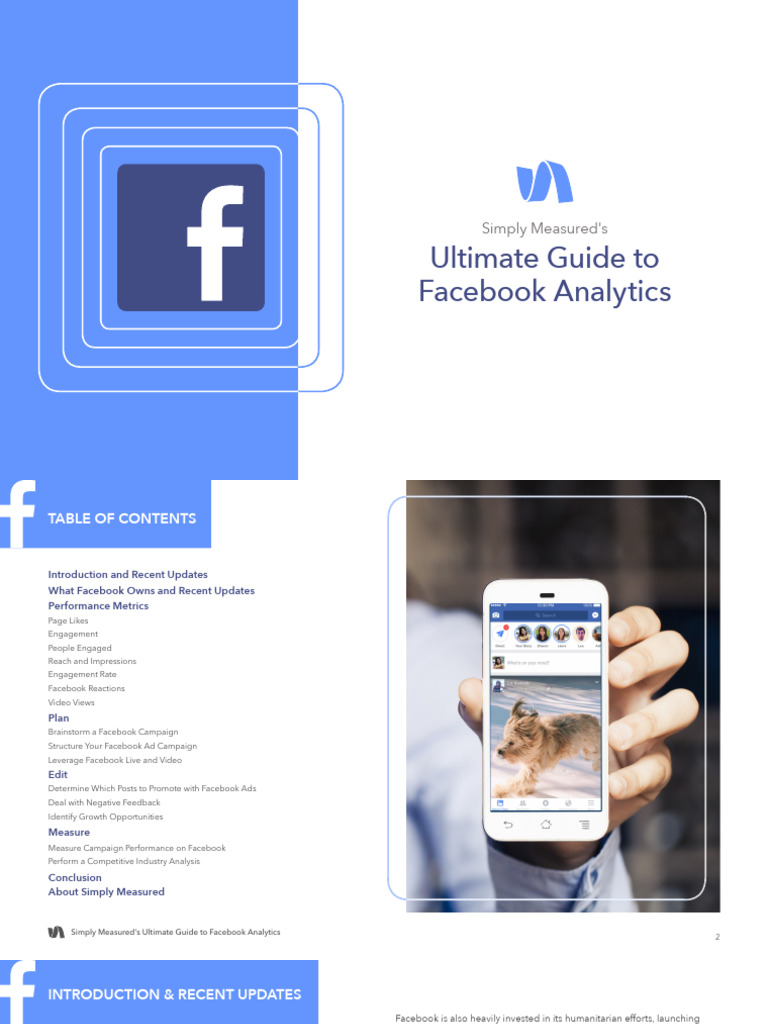Ebook - Ultimate Guide To FB Analytics-Final | PDF | Facebook | Brand