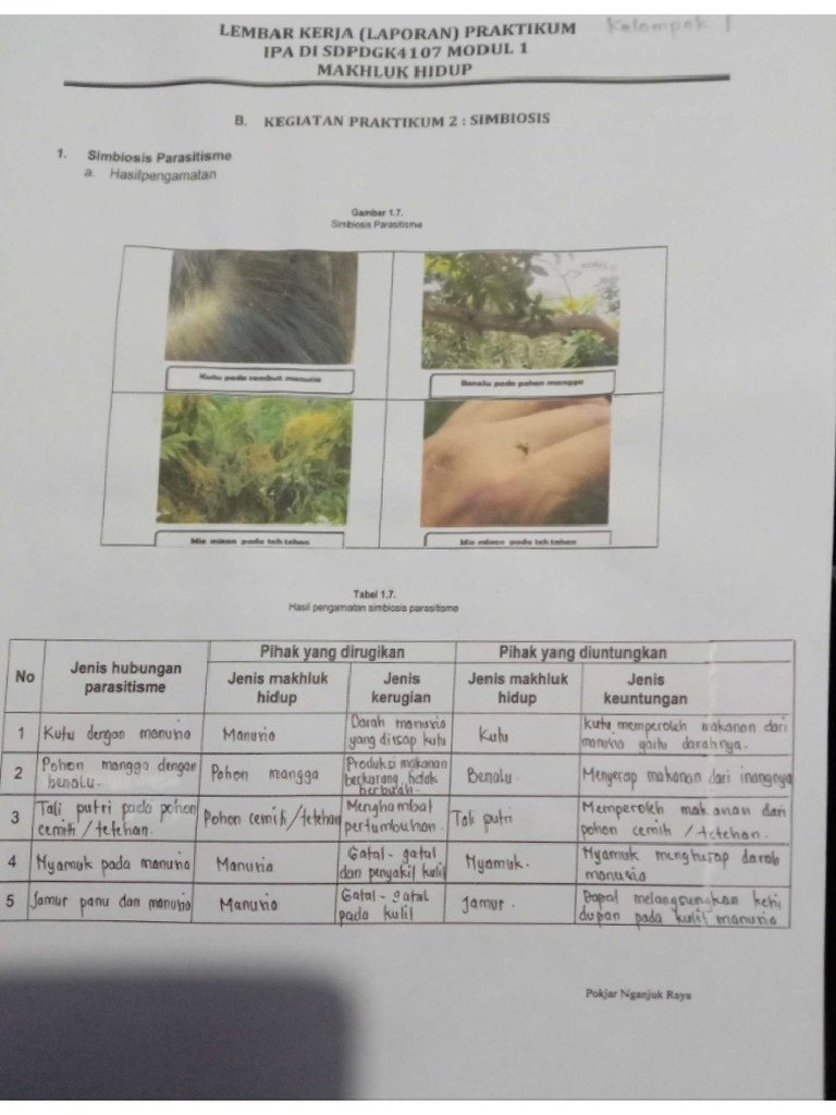 KP 2 IPA Kelompok 1 | PDF