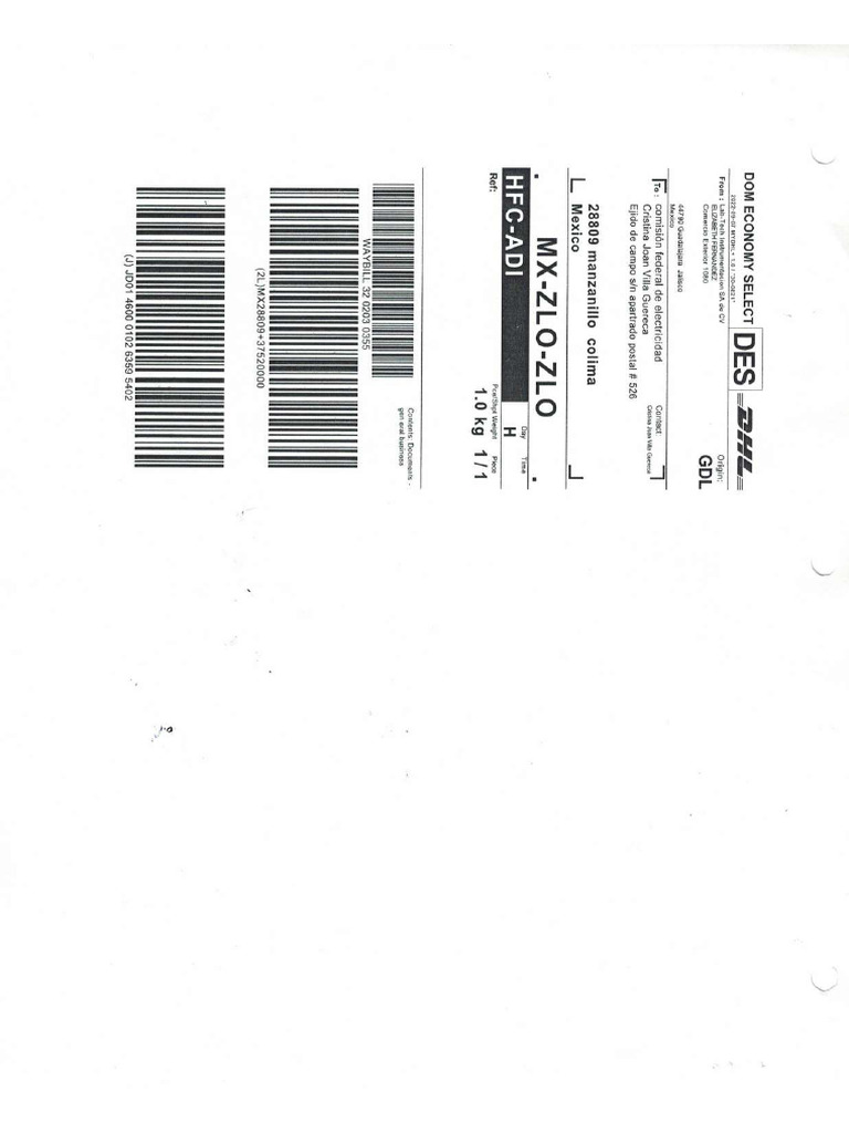 Guia DHL 320203 0355 | PDF