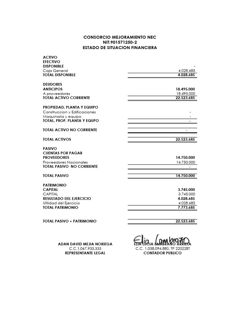 Estados Financieros | Descargar gratis PDF | Economias