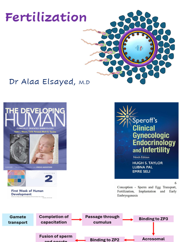 Fertilization PDF | Download Free PDF | Fertilisation | Reproduction