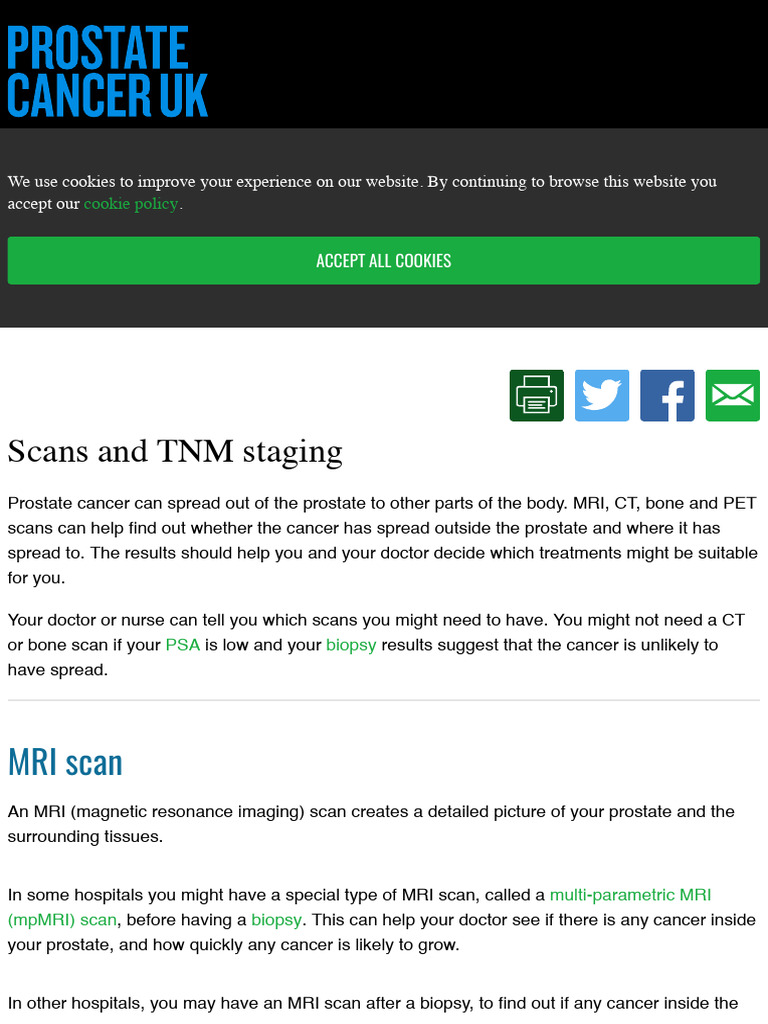Prostate Cancer Scans and Staging Guide | PDF | Prostate Cancer ...