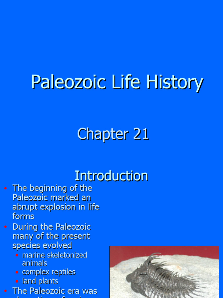 12 Paleozoic Life History STD | PDF | Amphibian | Plants