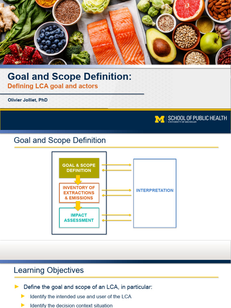 LCA Goal and Scope Definition Guide | PDF | Life Cycle Assessment