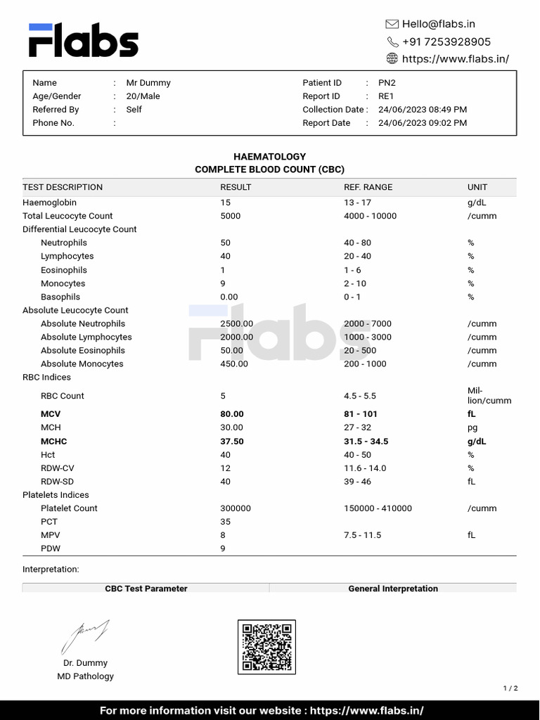 Complete Blood Count Report Summary | PDF | Anemia | White Blood Cell