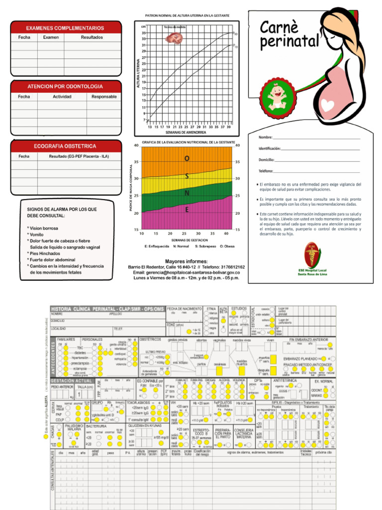 Carnet Perinatal | PDF