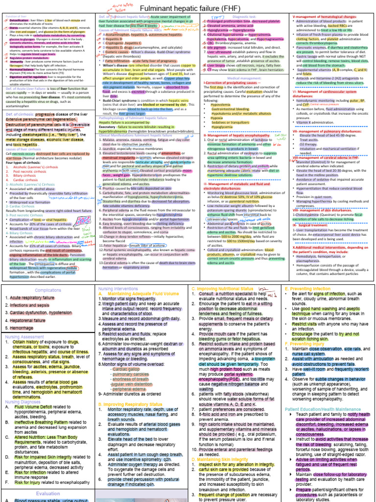 Iiver Disease | PDF | Liver | Cirrhosis