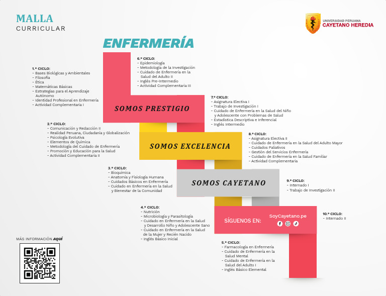 Malla Curricular Enfermeria 2024 | PDF | Enfermería