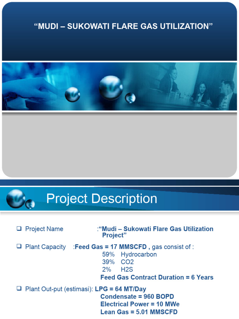 GFI - LPG Tuban - Project Overview or BM | PDF | Internal Rate Of Return | Fossil Fuels