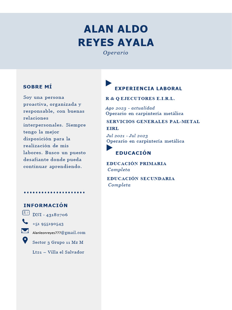 CV Alan Aldo | PDF | Business