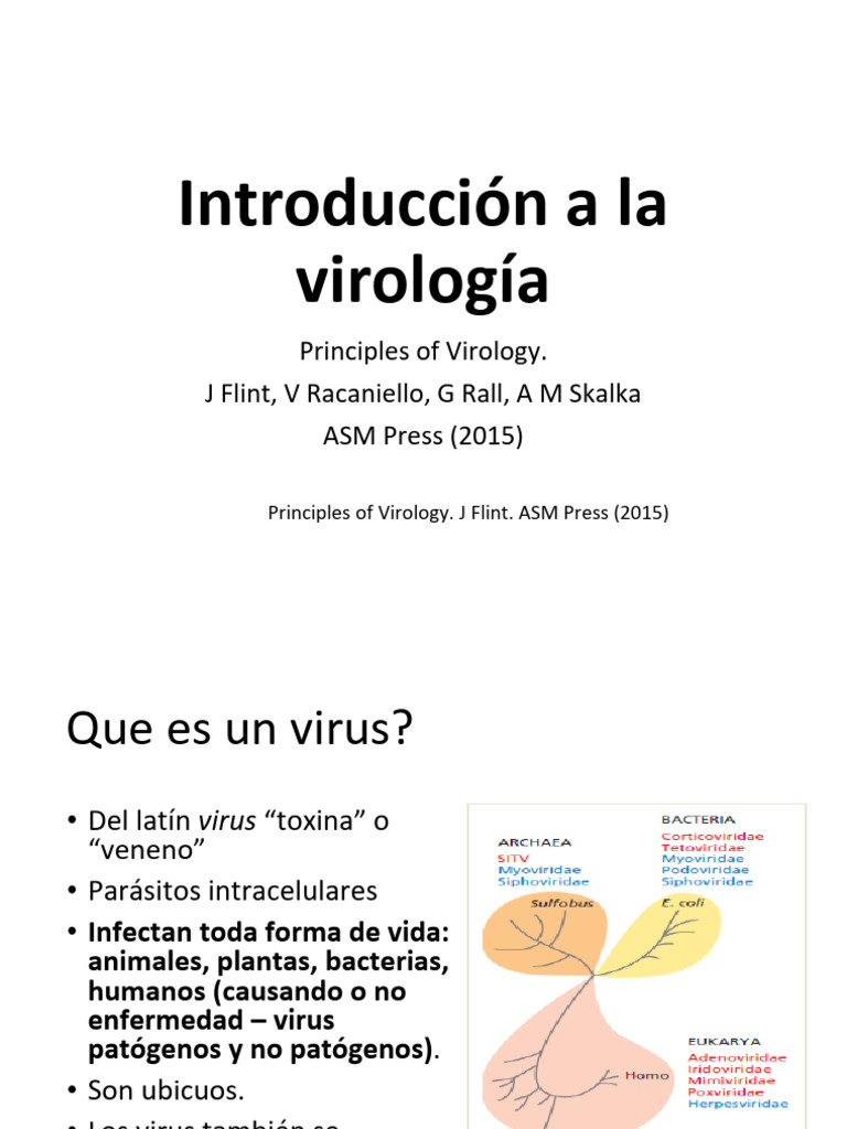 Unidad 5 Introduccion a La Virologia | PDF | Virus | Infección