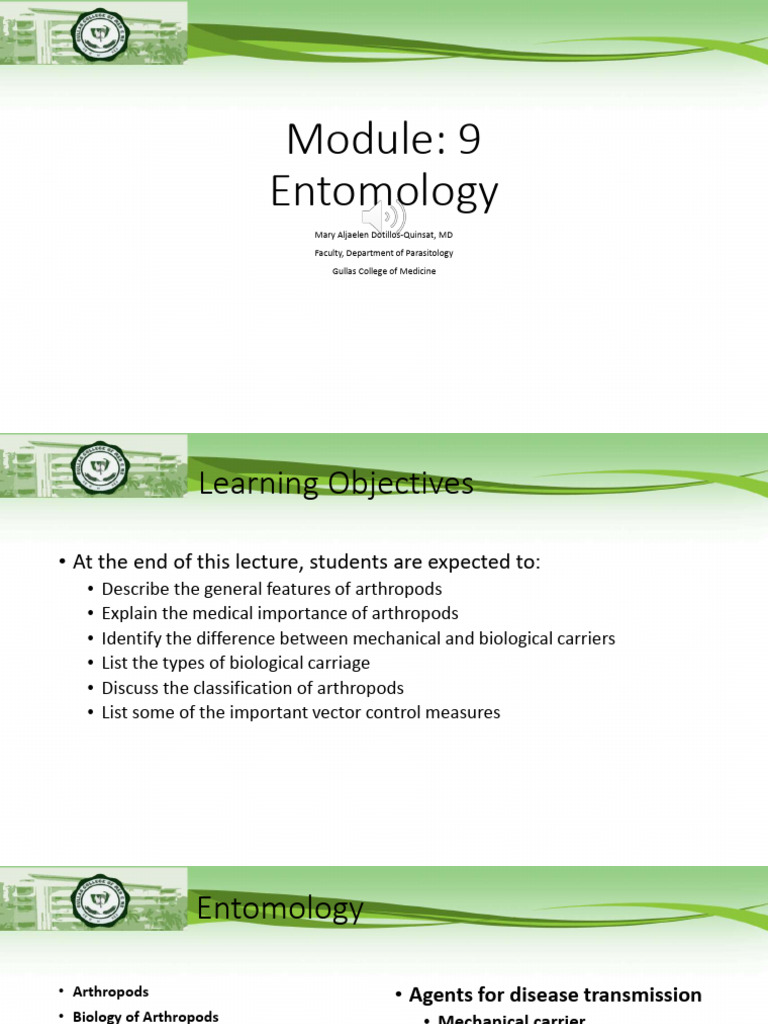 Ps10 - Entomology - DR Quinsat | PDF | Insects | Fly