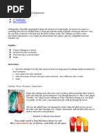 Reading Comprehension Grade 2 Peters Magic Shoes | PDF | Language Arts ...